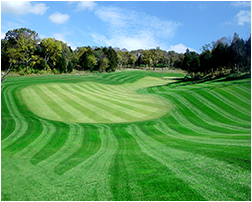 Welcome to Pevely Farms Golf Club - Pevely Farms Golf Club